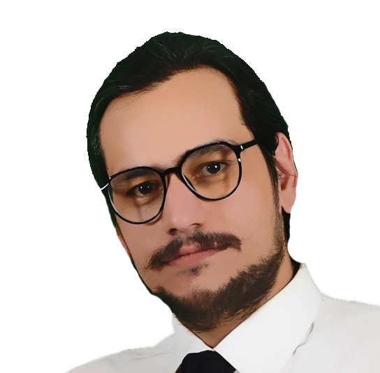 Mohsen Mahmoudi - Front-End Developer